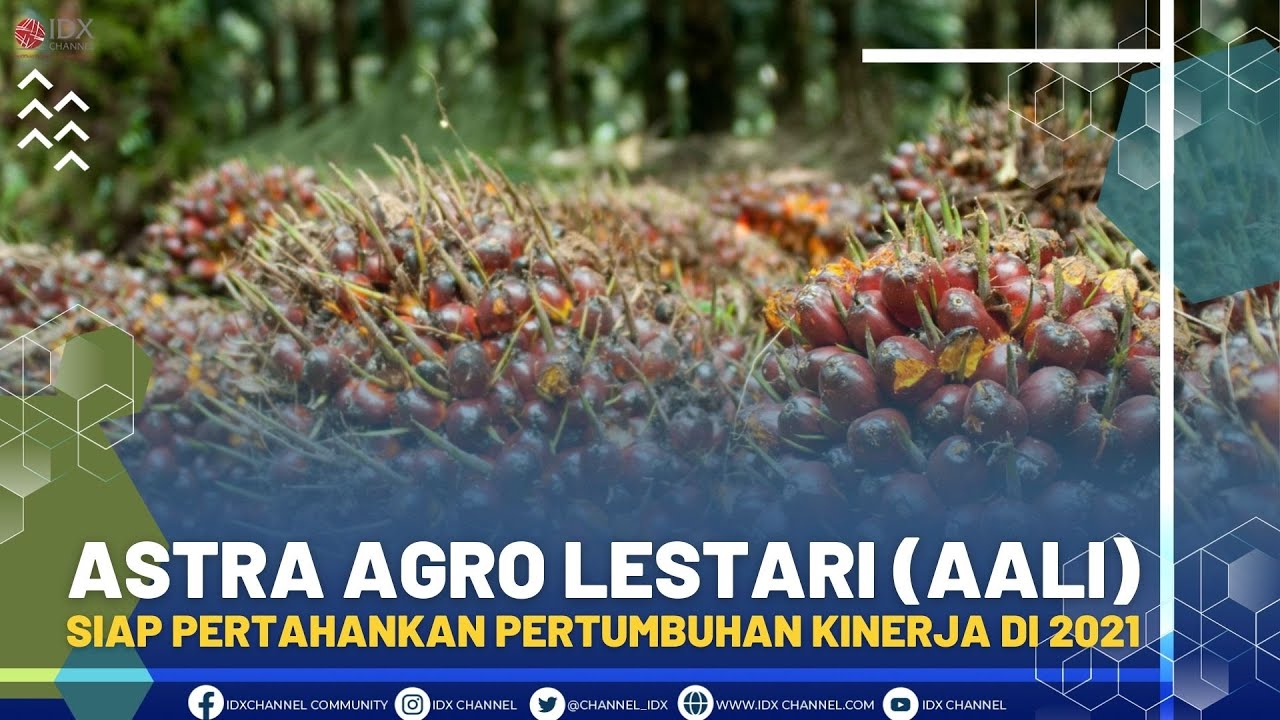 Astra Agro Lestari (AALI) Siap Pertahankan Pertumbuhan Kinerja di 2021 ...