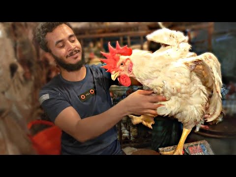 Most Popular Hen - Amazing Chicken Cutting Skills by Knife in Chicken ...
