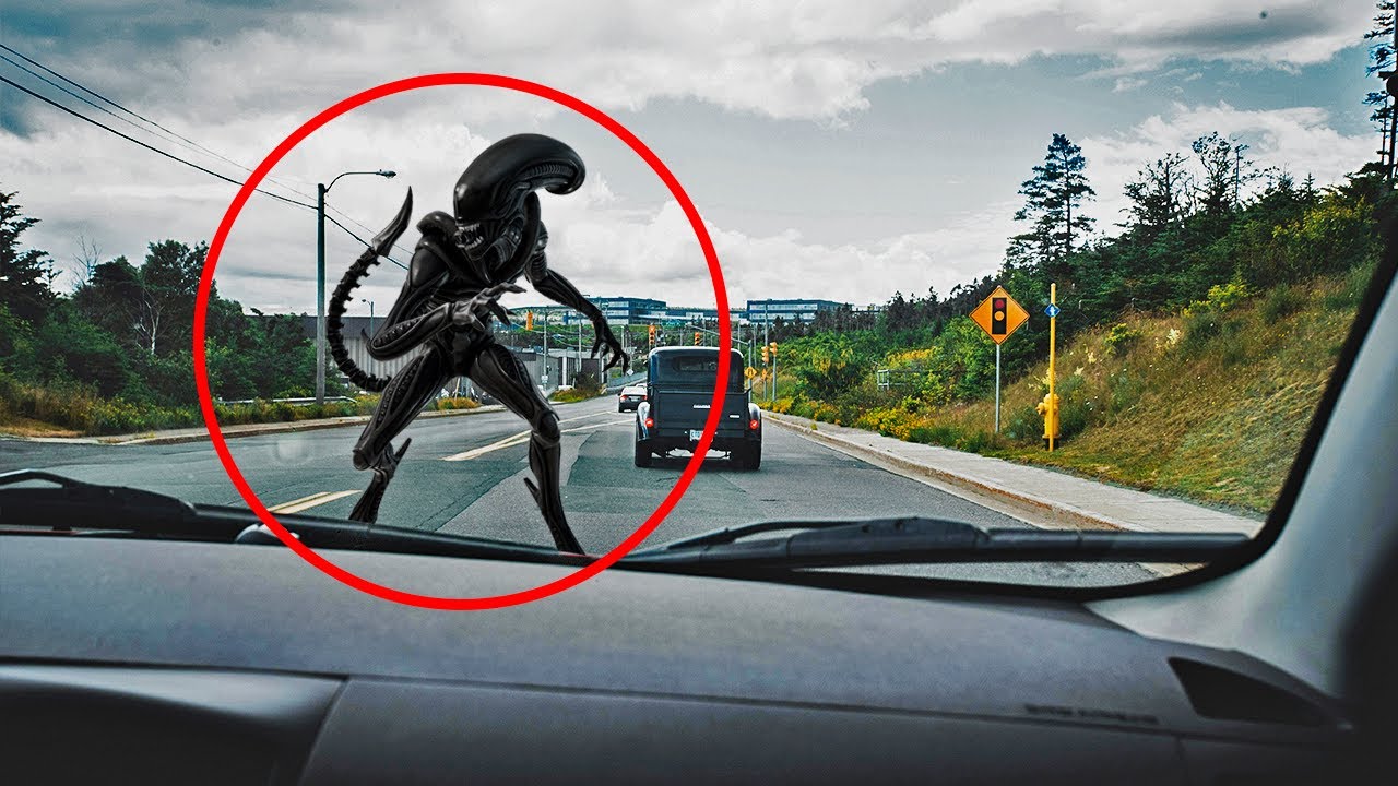 5 Xenomorfo de ALIENS ROMULUS Captados en Cámara en la Vida Real - YouTube