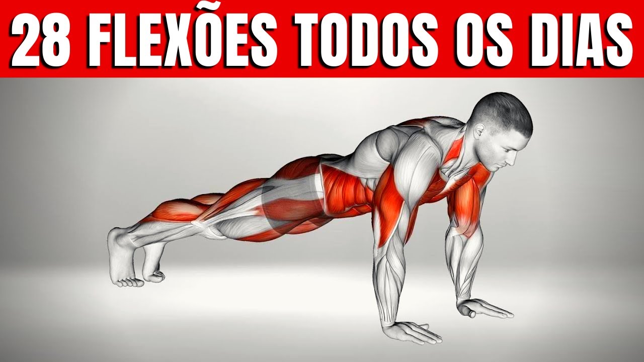 Como APENAS 28 Flexões de braço por dia mudarão seu corpo | CORPO ...