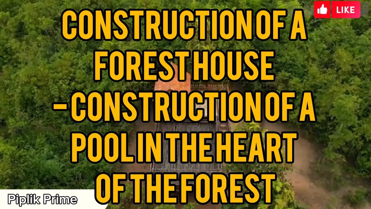 Construction of a forest house - construction of a pool in the heart of ...