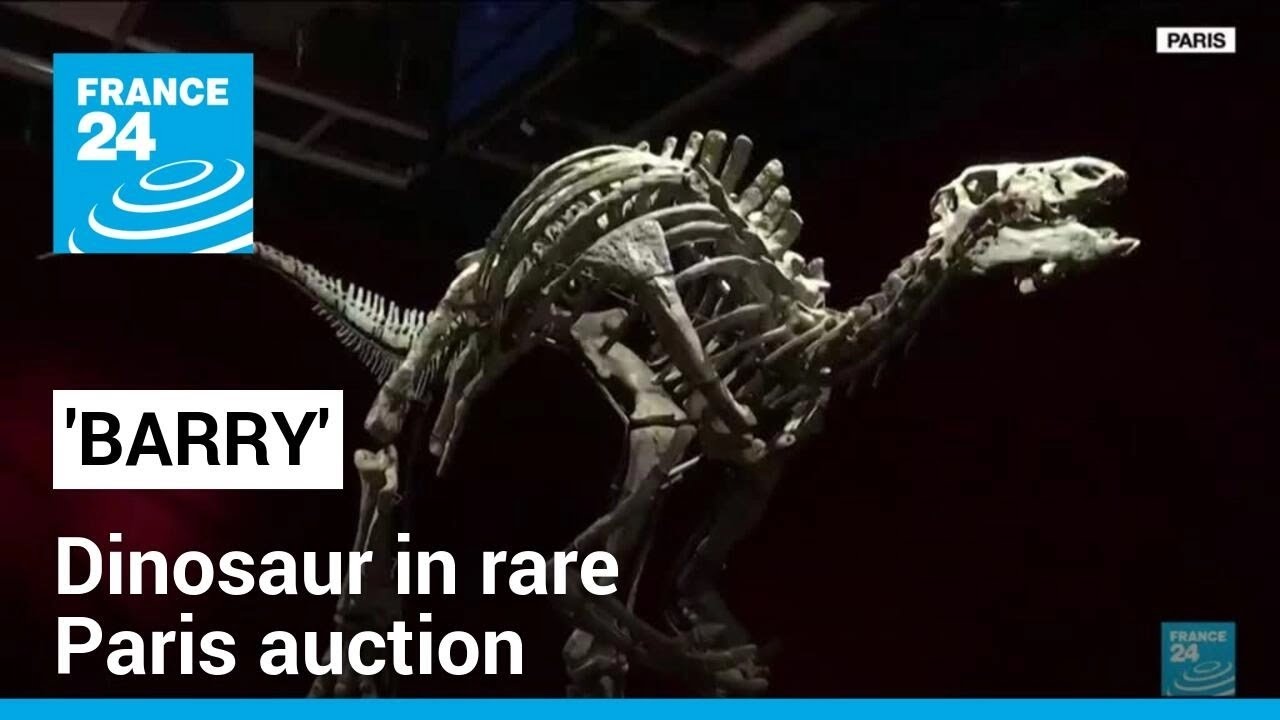 Dinosaur known as 'Barry' goes on sale in rare Paris auction • FRANCE ...