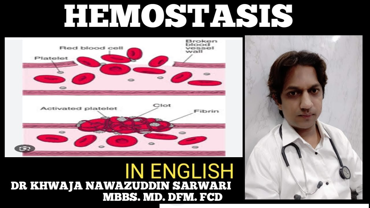 Hemostasis |In English #physiology #coagulation #clot #platelets # ...