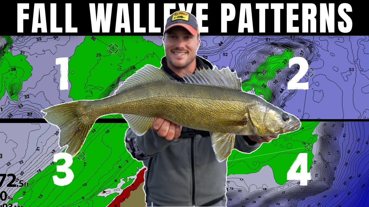 Fall Walleye Patterns for ANY Lake (Locations + Presentations) - YouTube