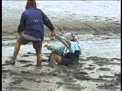 Zomerkamp 2005, Scouting Irmin-Taweb Wadlopen - YouTube