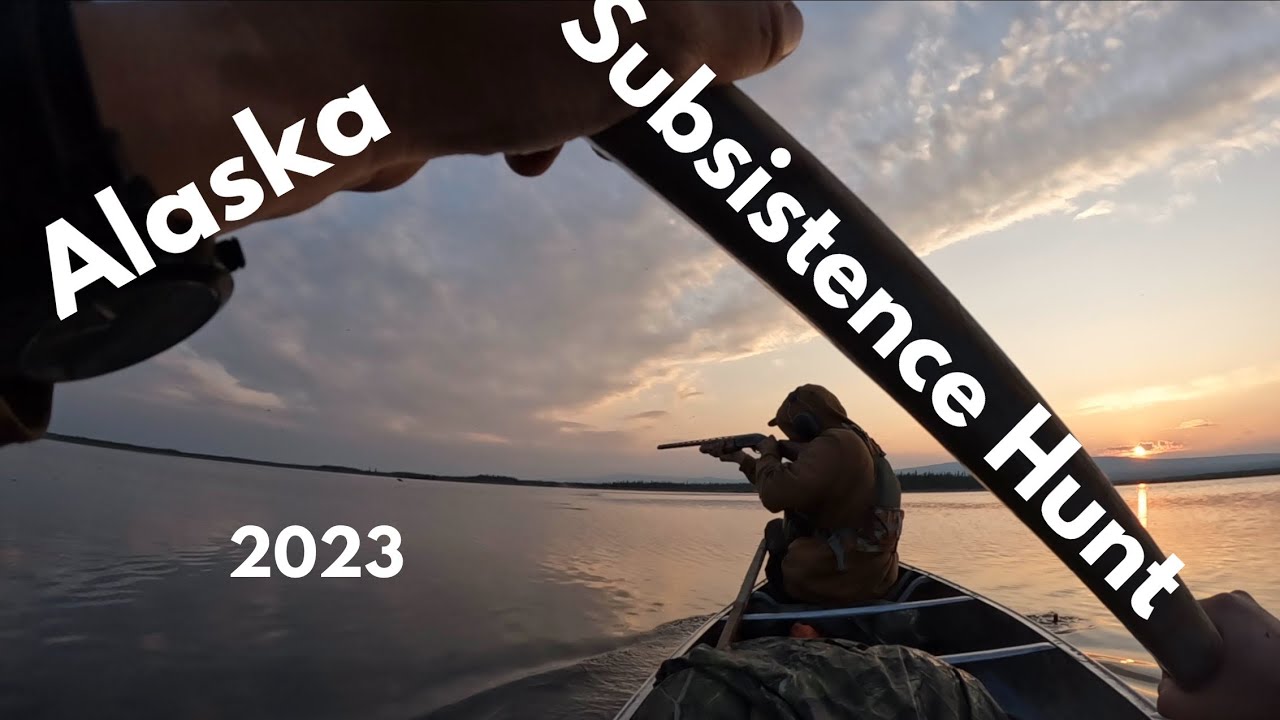 Subsistence Bird Hunt 2023 Alaska - YouTube