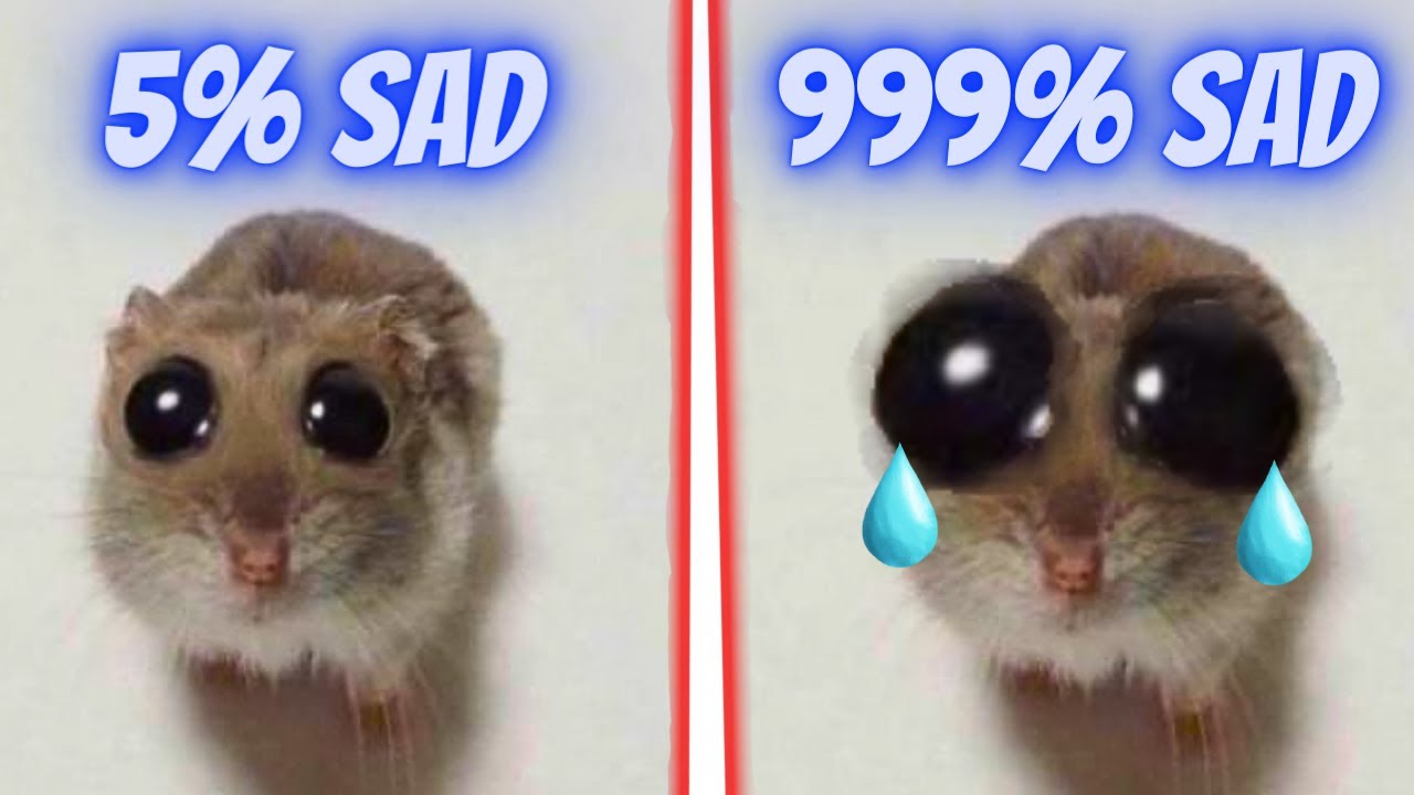 Sad Hamster Getting More Sad Meme - YouTube