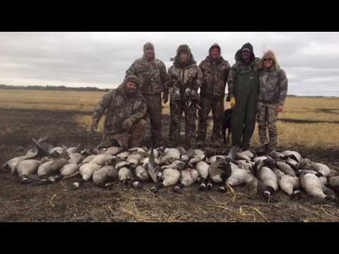 Canada Duck and Goose Hunting - YouTube