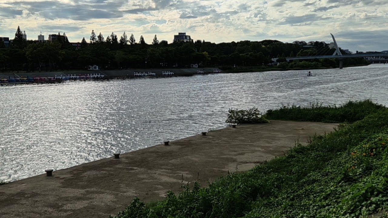 대구 동촌유원지 금호강 실시간 라이브 멍때리기 힐링 영상 Real-time live healing video of Daegu ...