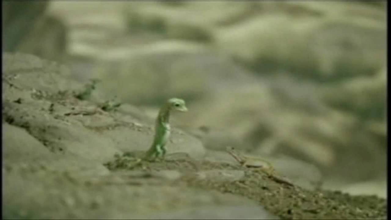 Geico Commercial Cup Of Tea - YouTube