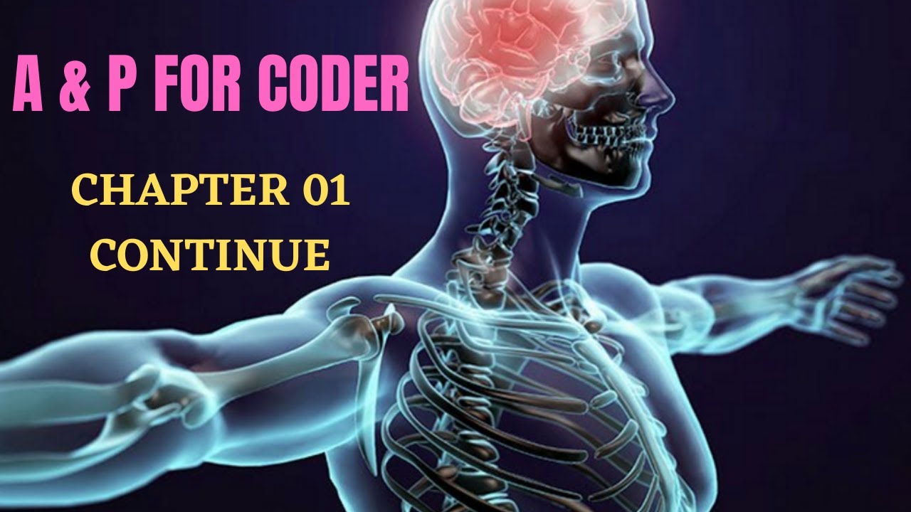 ANATOMY & PHYSIOLOGY FOR CODERS - CHAPTER 01: SKELETAL SYSTEM CONTINUE ...