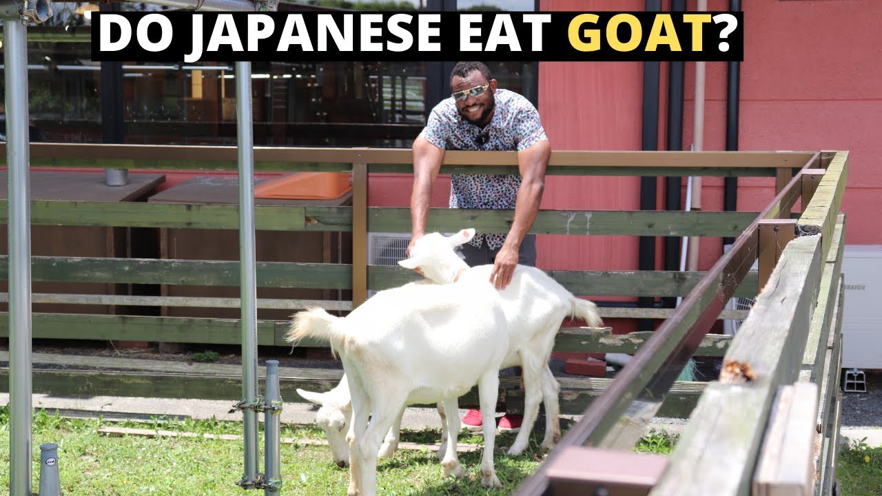 REASONS WHY JAPANESE DONT EAT GOAT MEAT? - YouTube
