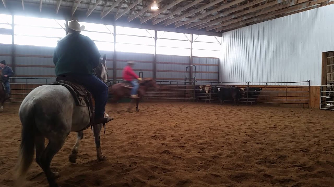 3 man 2 gate sorting at Open Gate Ranch - YouTube