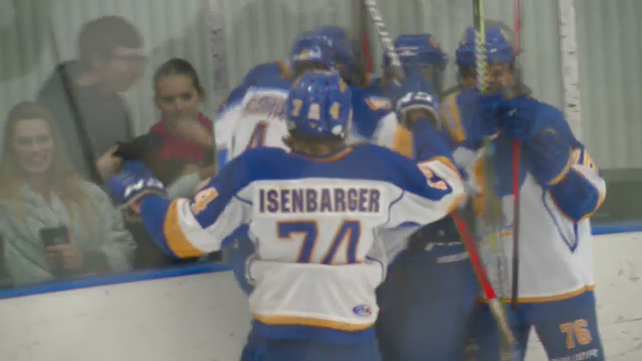 Homestead hockey defeats first place Fort Wayne Vipers 3-0 - YouTube