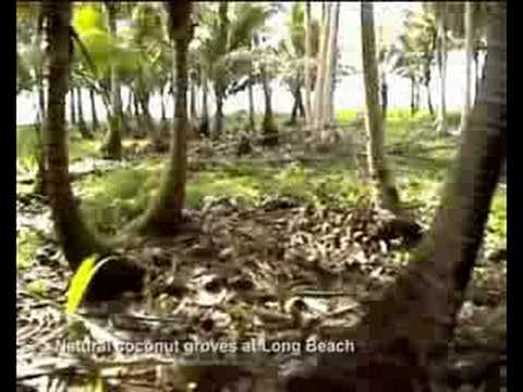 Angaur Tour - YouTube