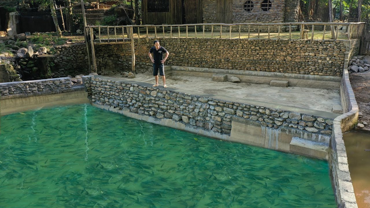 Build a Fish Pond wall: Young man Decided to raise Fish again from the ...
