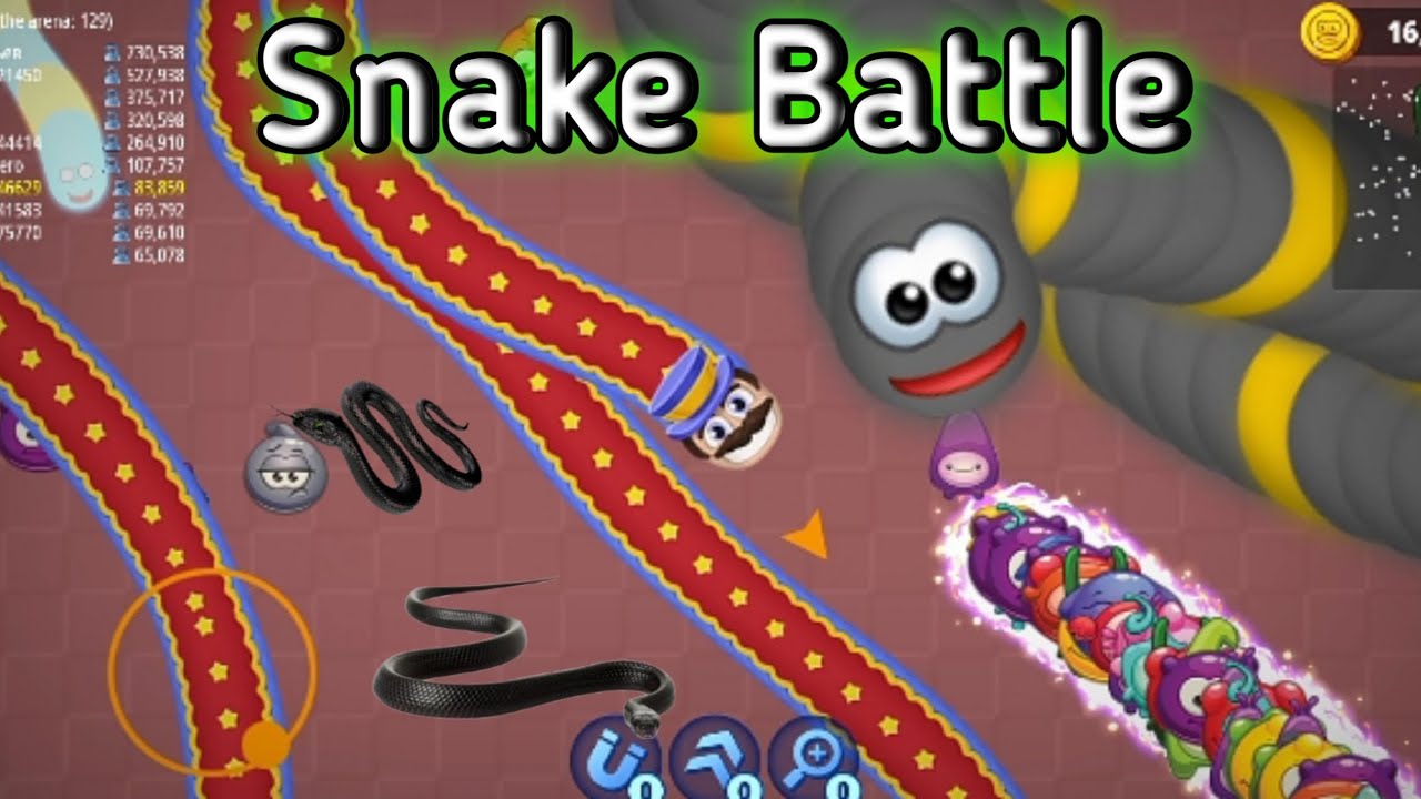 snake Battle Big snake 🐍 - YouTube