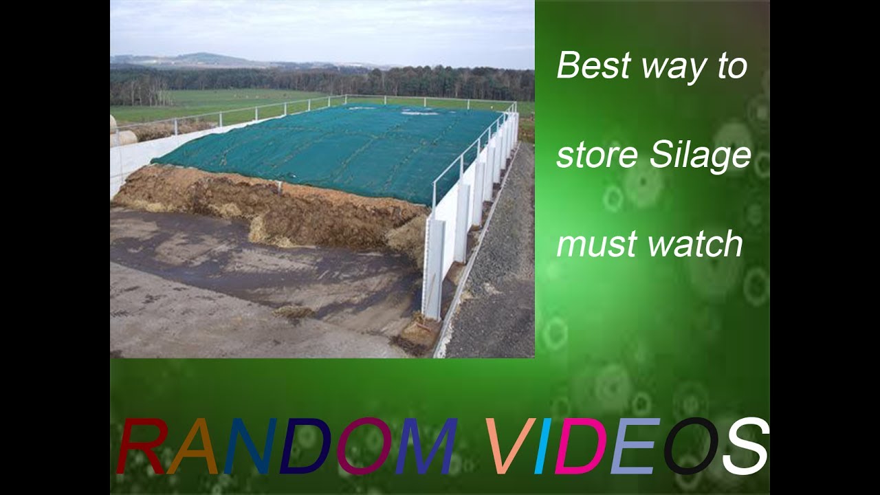 Silage storage must watch - YouTube