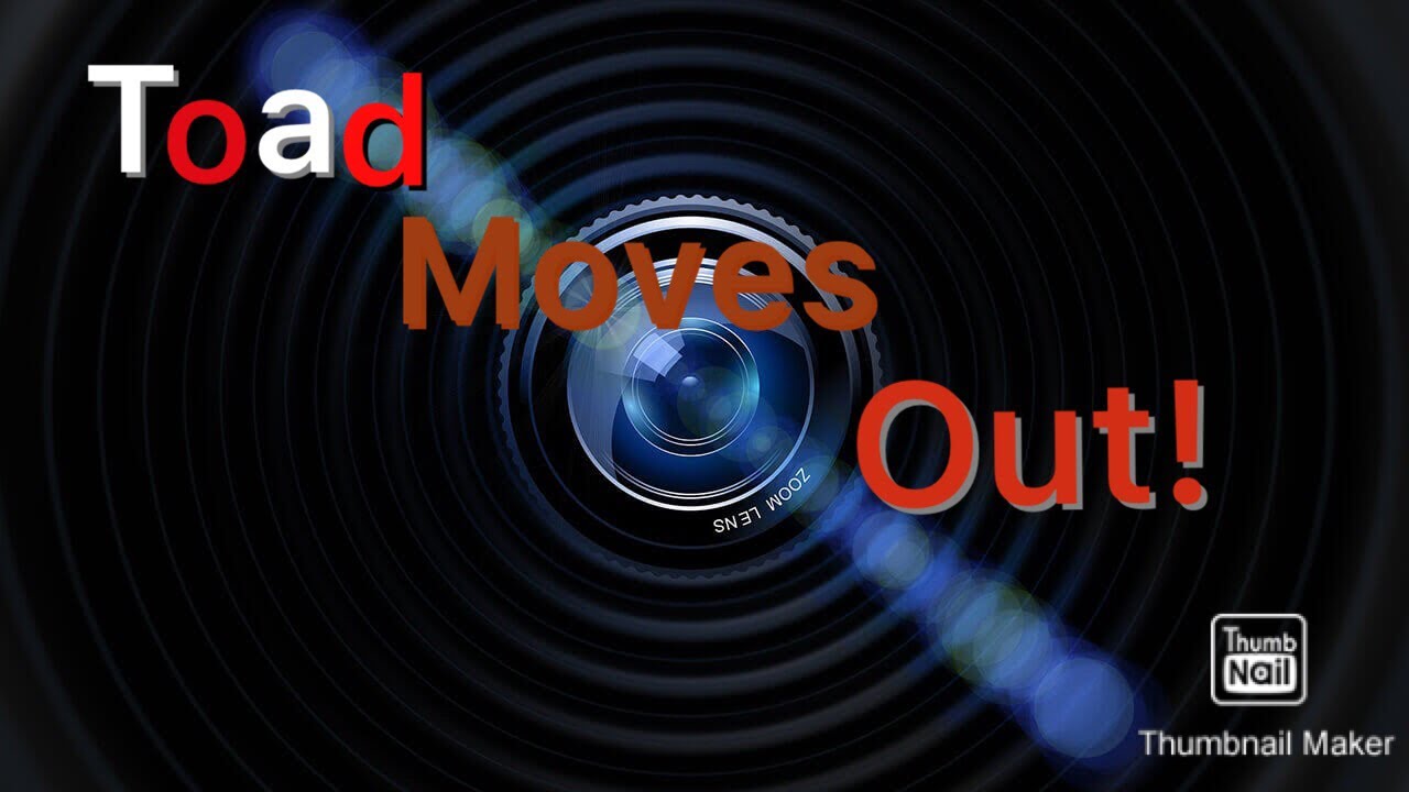 Mario and Grinch Season 4 episode 5: Toad Moves Out! - YouTube