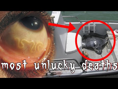 Bizarre Deaths #1 │Death by Slug - YouTube