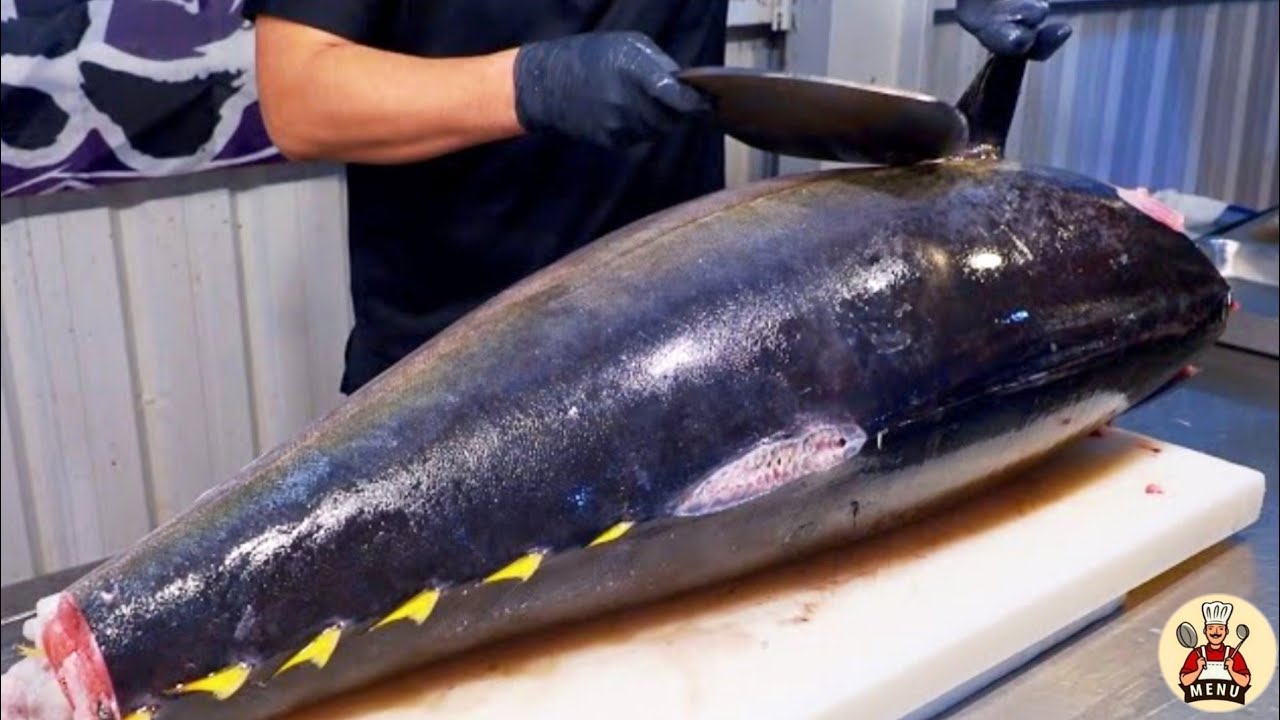 Professional Bluefin TUNA Slicing Skills from the Best CHEFS in the ...