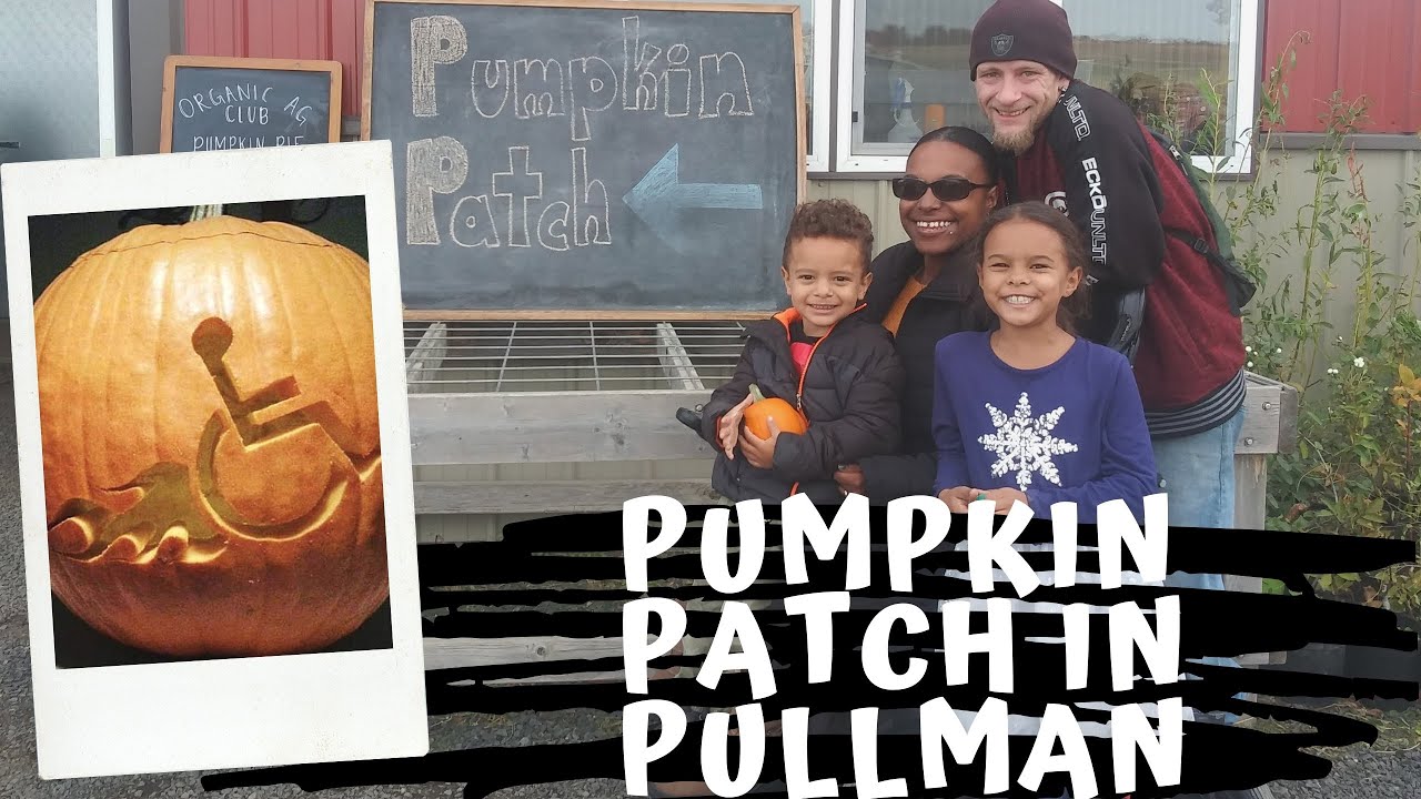 Pumpkin Patch - Pullman Washington - Road Trip - YouTube