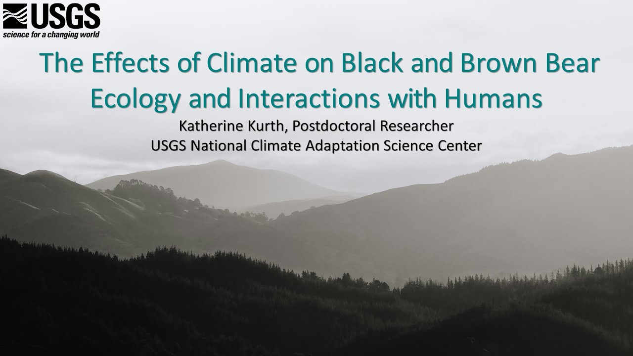 IBA Management Committee Webinar #7- Effects of Climate on Bear Ecology ...