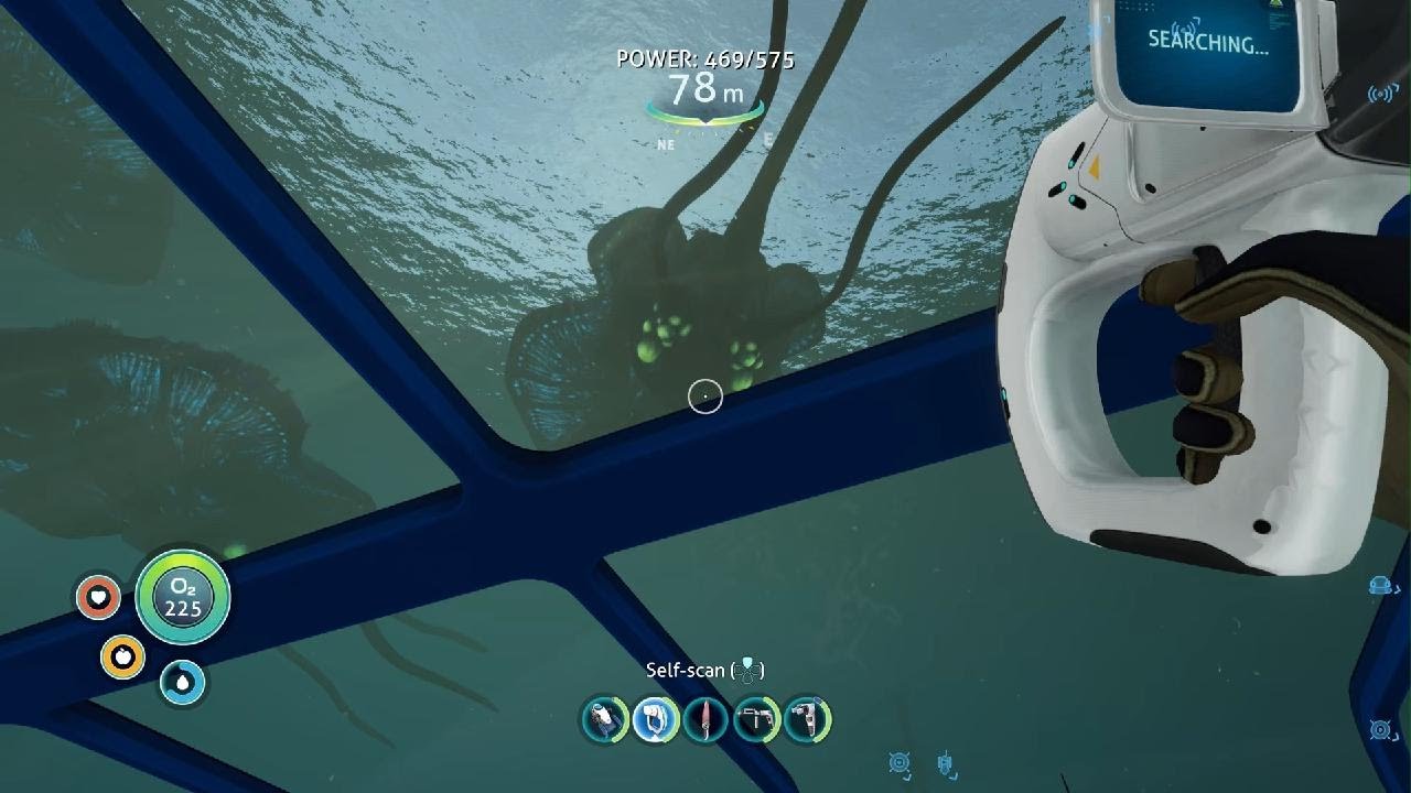 Reefback view - YouTube