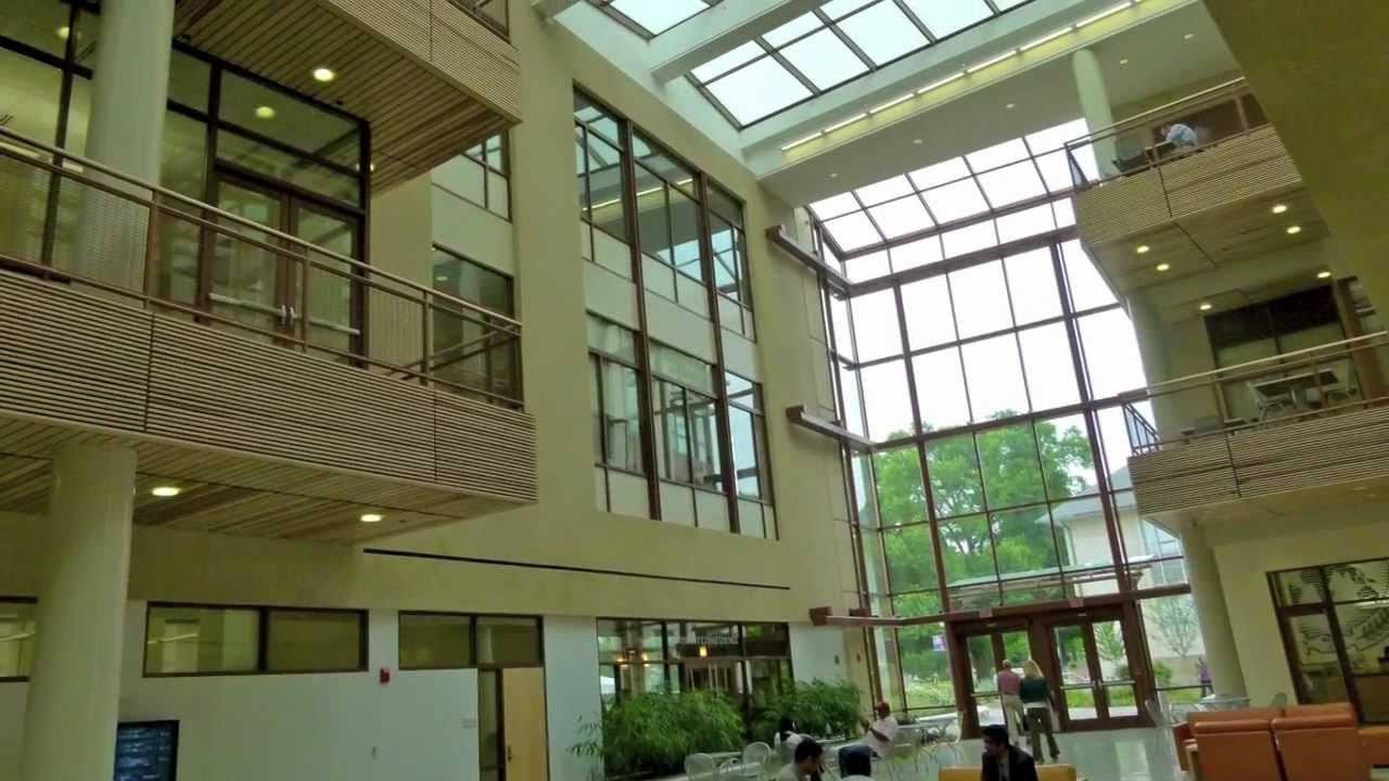 American University School of International Service - YouTube