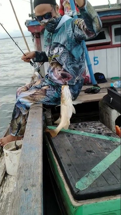 ikan jenaha/kakap tompel berhasil di selamatkan - YouTube