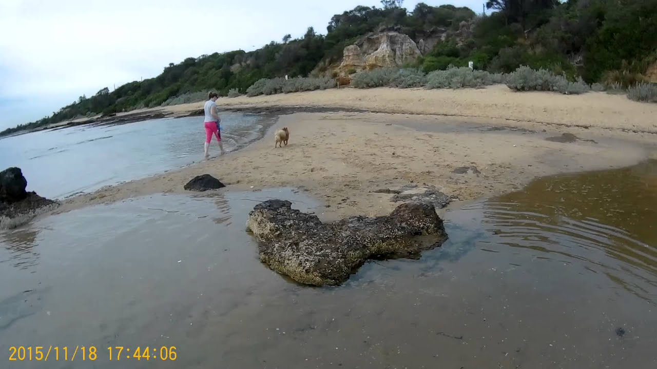 Ricketts Point Walk on The Beach - YouTube