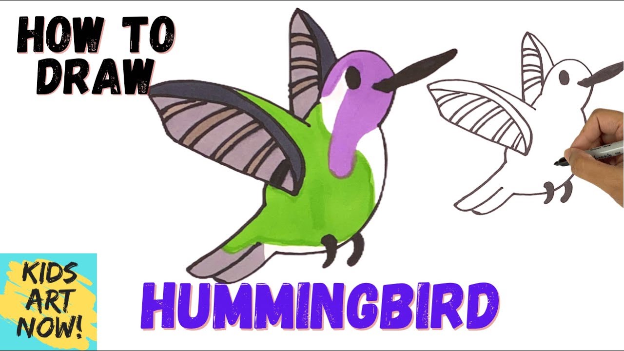 How to Draw a Humming Bird! - Easy Step by Step - YouTube
