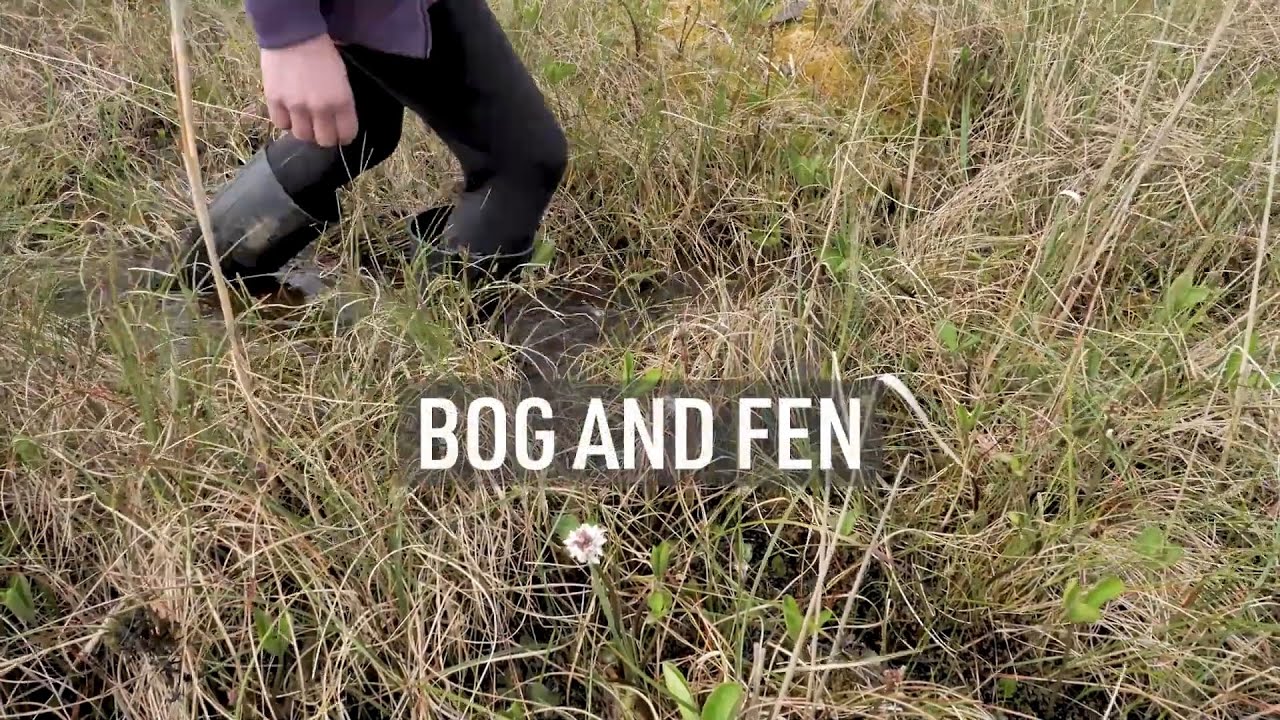 5 in Five, Bog and Fen - YouTube