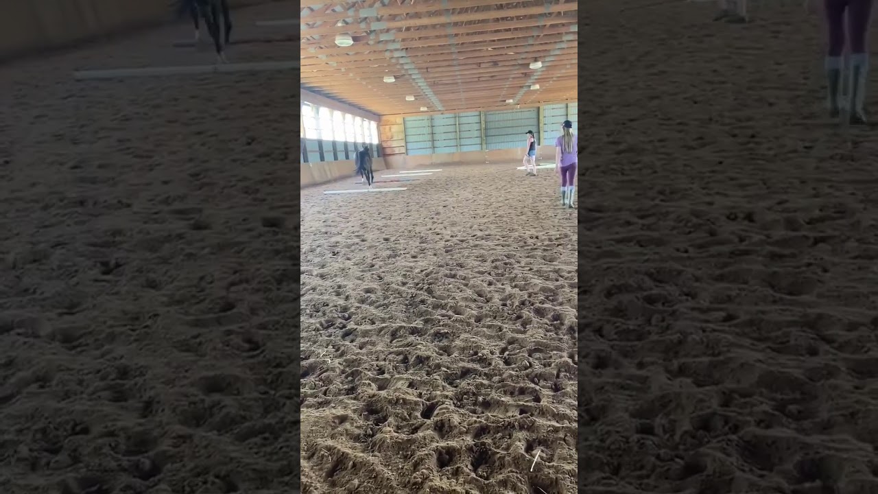 Calvin May 2020 trot video - YouTube