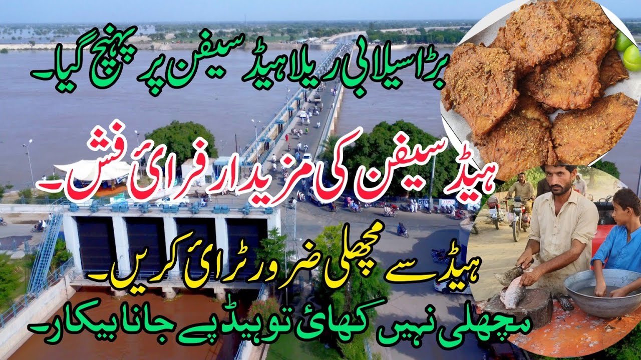 head Syphon flood update || eating fish 🐠 at Syphon || mailsi Syphon ...