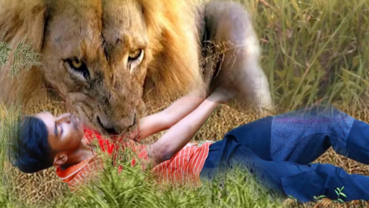 Lion Attack man in forest || Lion Attack Hunter || Lion Attack Stories ...