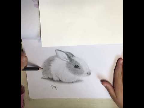 My personal tips on HOW TO DRAW FURRY ANIMALS - YouTube