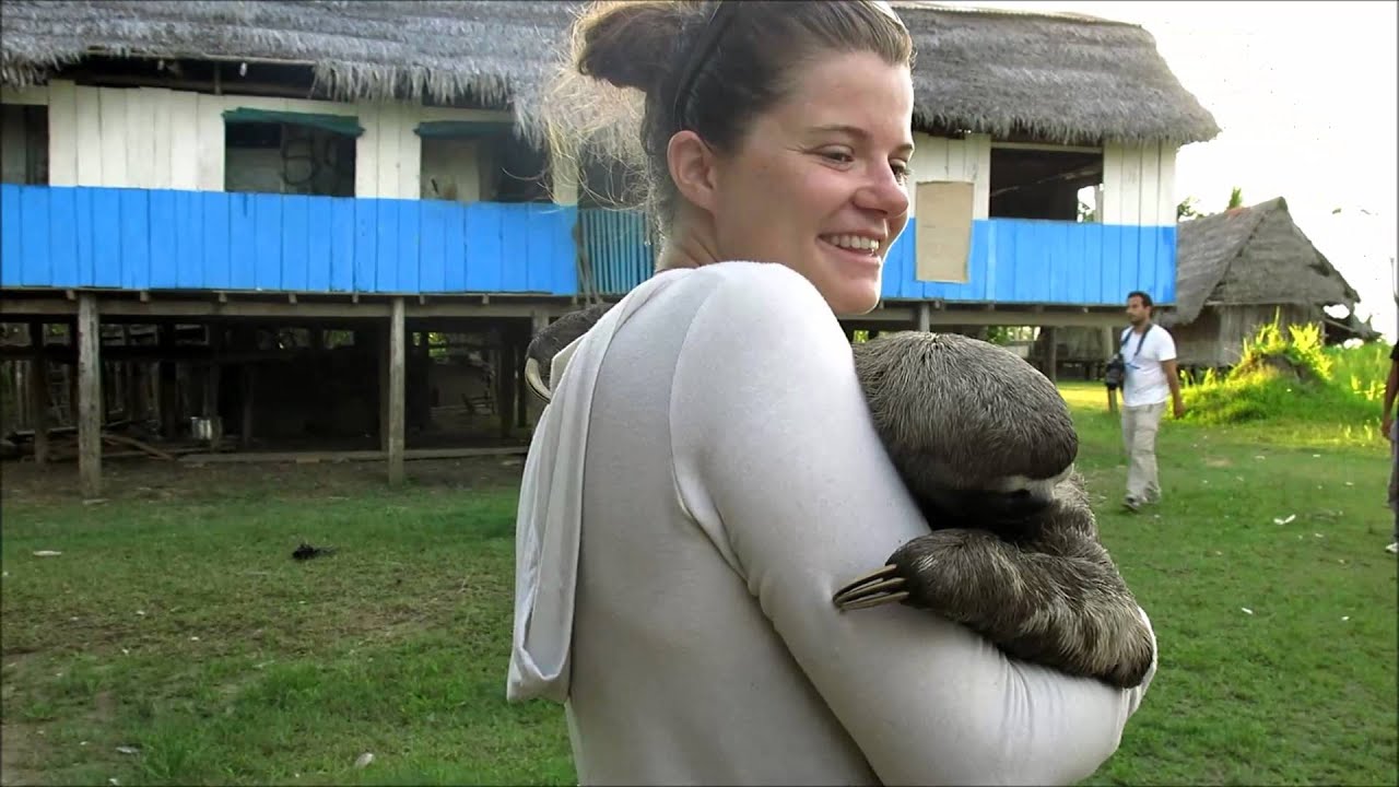 sloth!!! - YouTube
