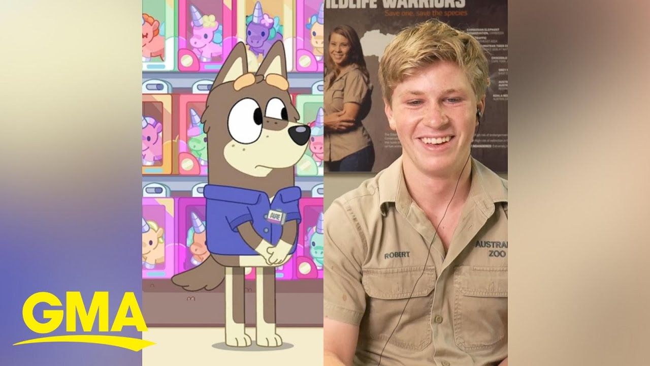 Robert Irwin can't wait to show his niece his role on Disney+'s 'Bluey ...