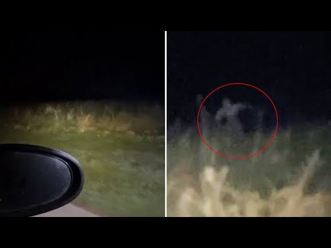 Skinwalker capture on camera real life - YouTube