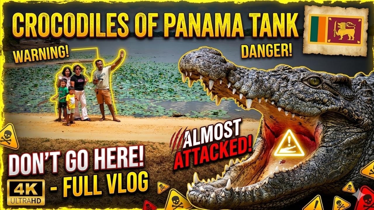 Panama Tank 🐊 | Best Place to See Crocodiles in Sri Lanka - YouTube