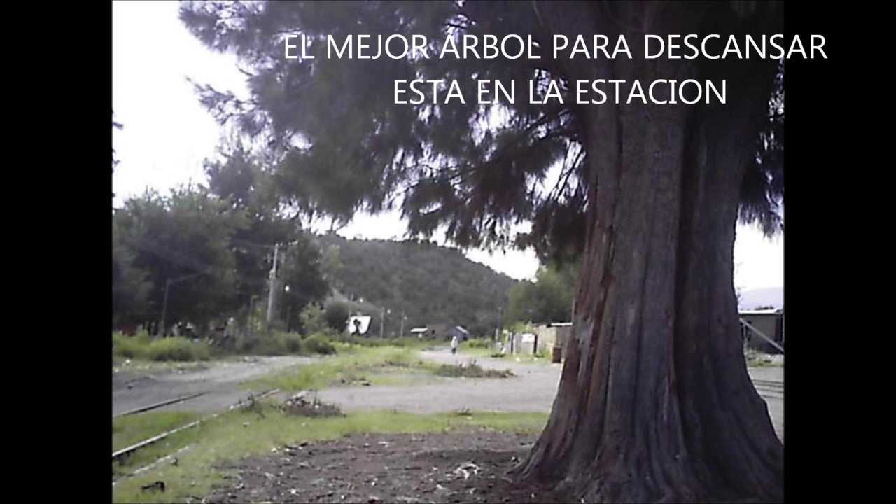 BARRIO LA ESTACIÓN ---- TEPEHUANES DGO;........ (Jesús Lechuga) - YouTube