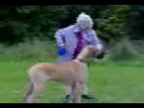 Granny Walking Dog
