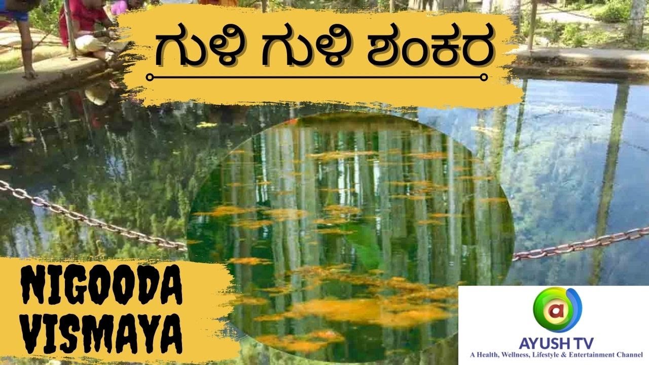 Guli Guli Shankara | ಗುಳಿ ಗುಳಿ ಶಂಕರ | Nigooda Vismaya | #ayushtv # ...
