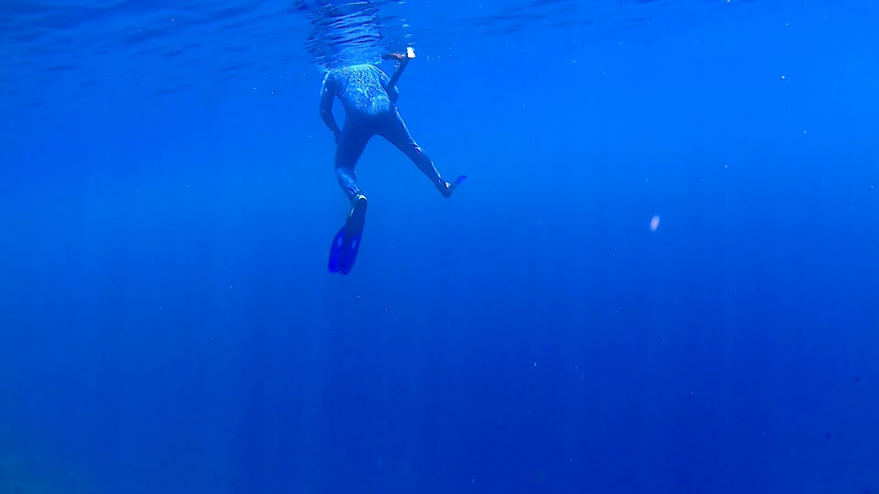 sombu dive wakatobi - YouTube