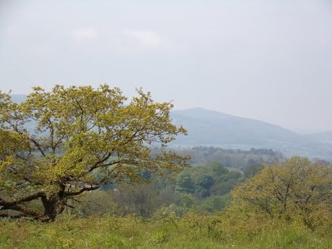 Dolebury Hillfort & Rowberrow Warren Walk to Winscombe Part II, The ...
