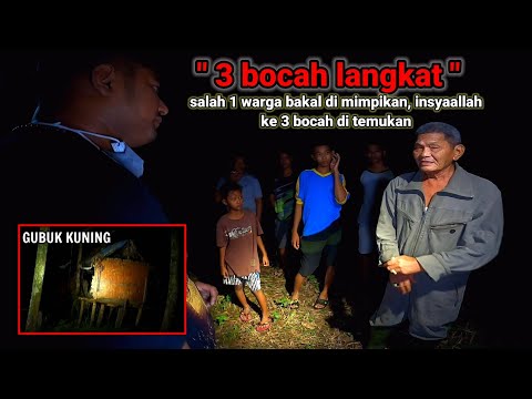 gubuk kuning di tengah hutan dan pohon besar cari 3 bocah langkat