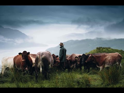 When You Know, You Know. Brand New TV Advert from Scotch Beef, Scotch ...