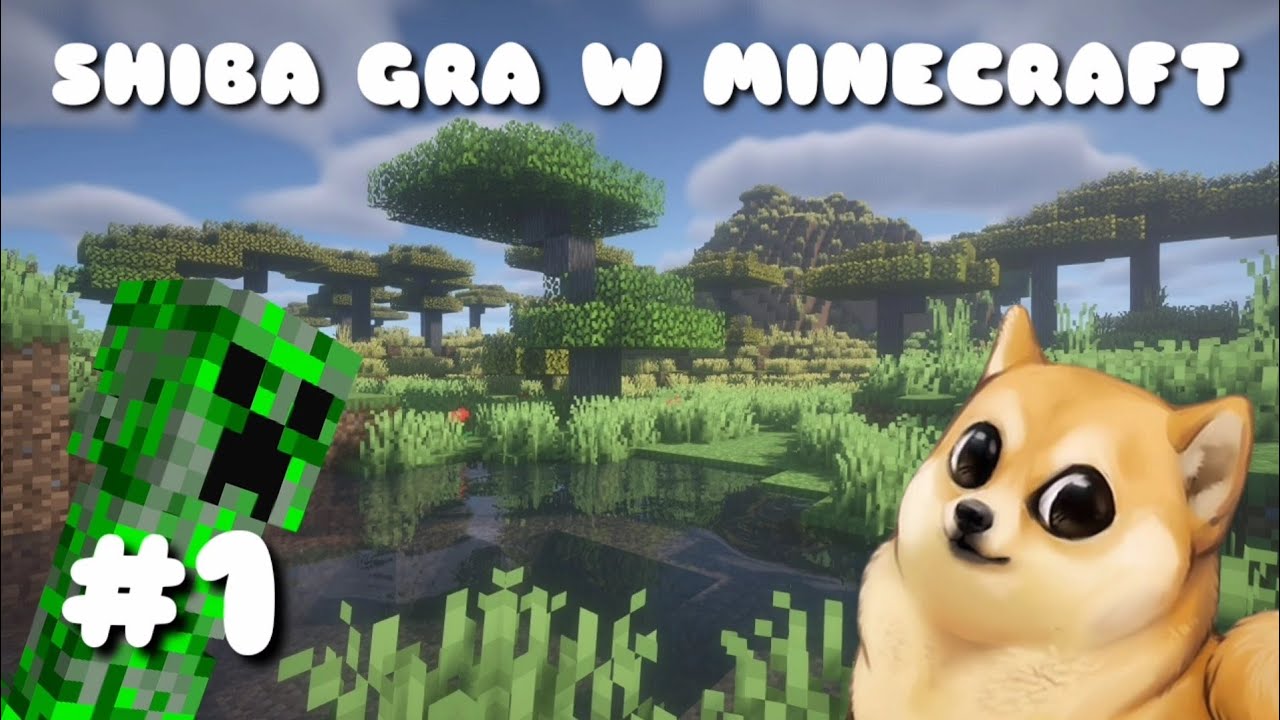 ZAGRAŁEM W MINECRAFT! - Shiba gra w Minecraft #1 - YouTube