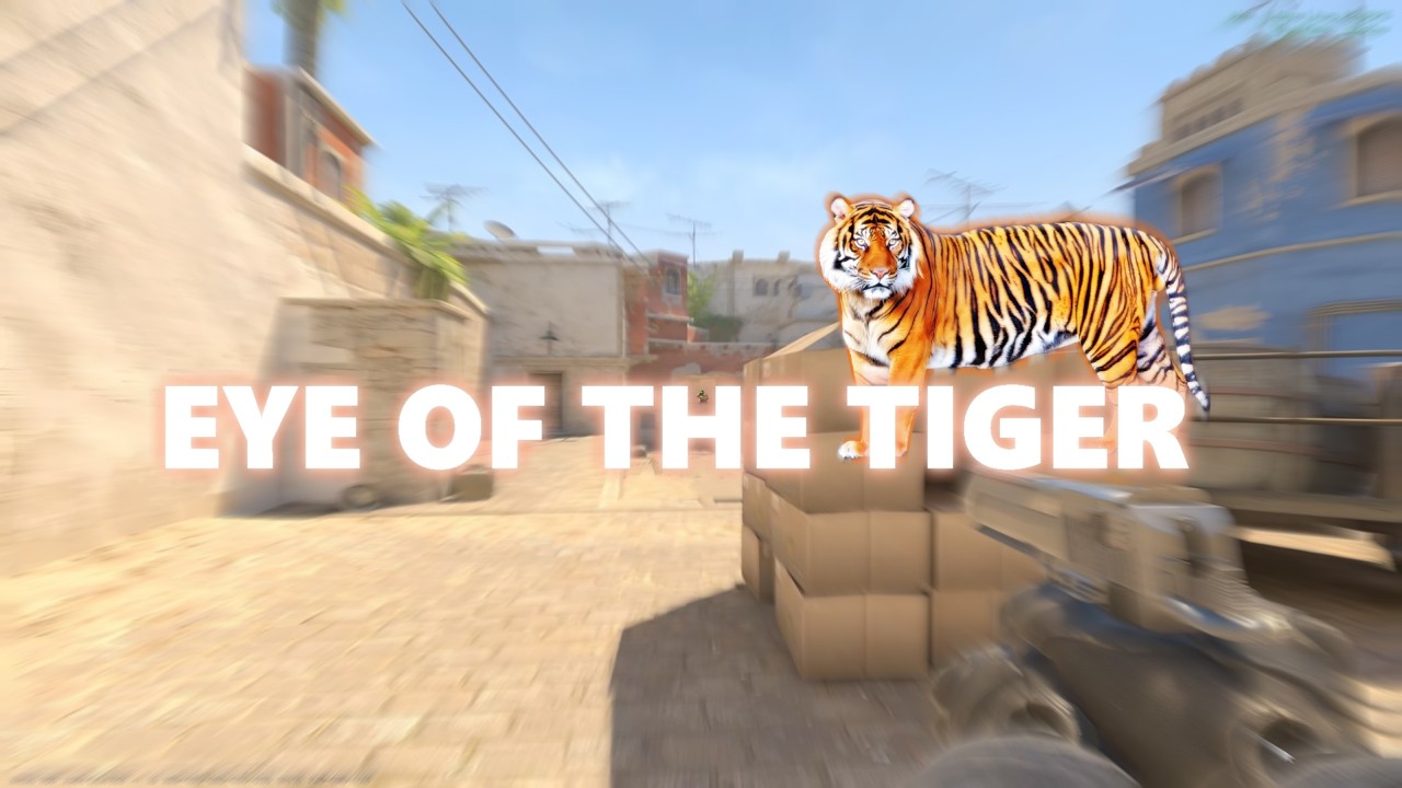 cs - eye of the tiger - YouTube